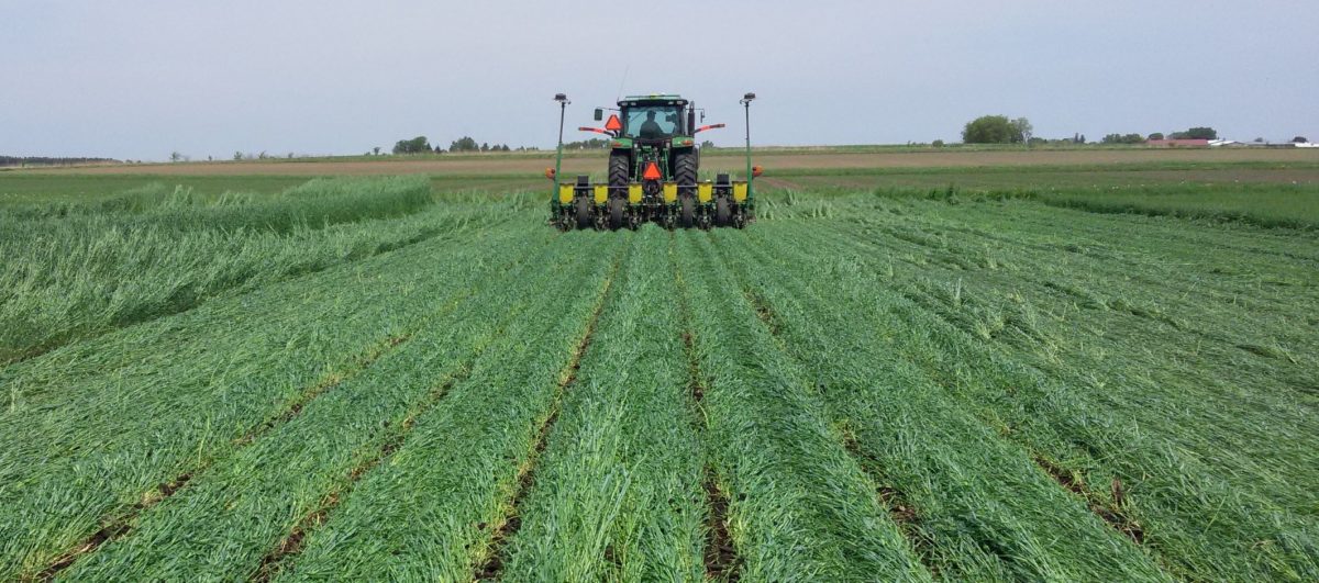 Thursday Discussion: Cover crops and reduced tillage – OGRAIN